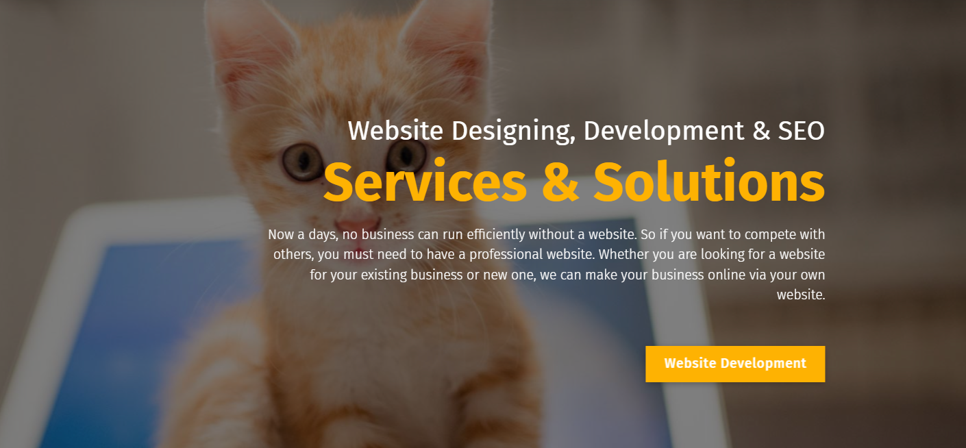 Phuket Web Development & SEO