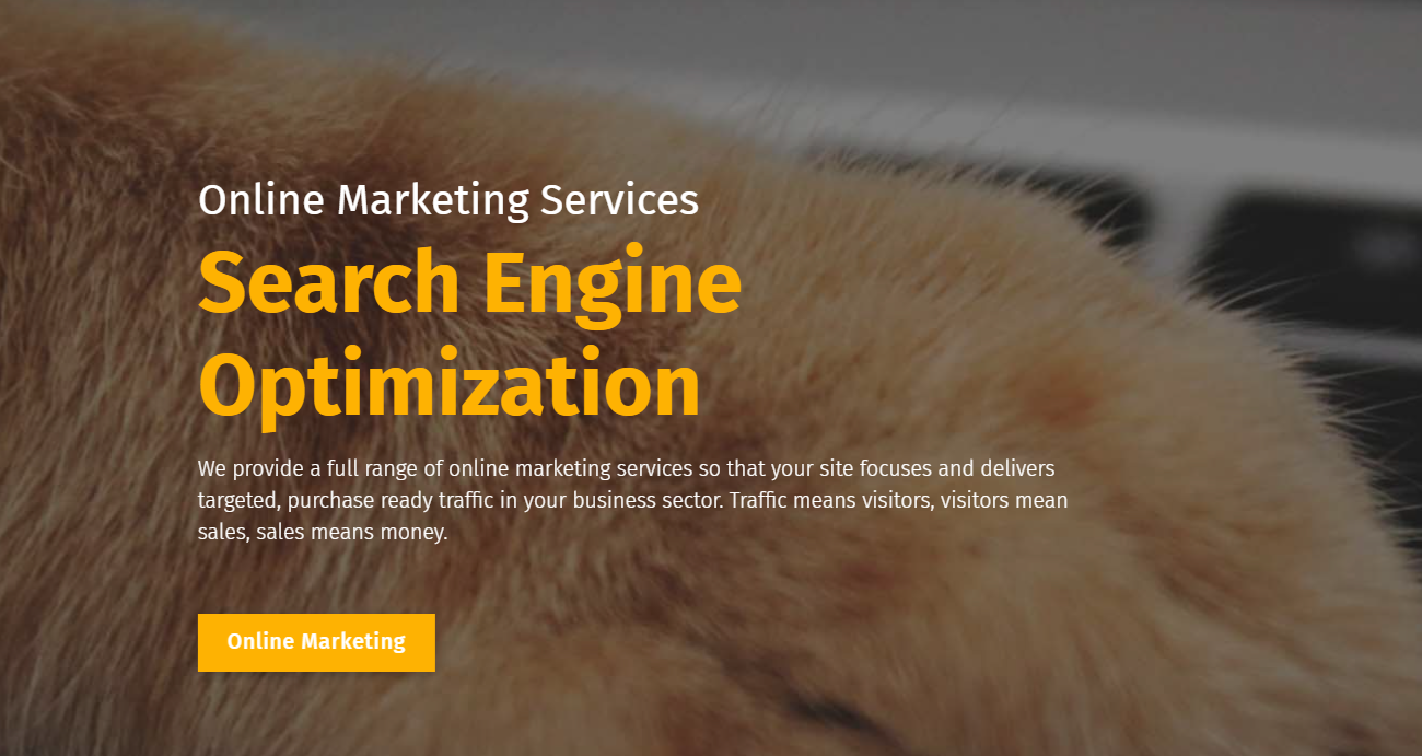 Phuket Web Development & SEO | Phuket Web Development & SEO